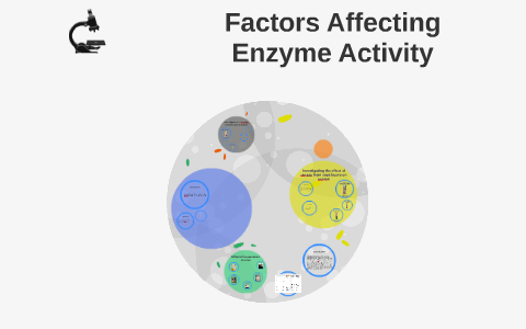 Factors Affecting Enzyme Activity by Patty Lertwijitnarong on Prezi