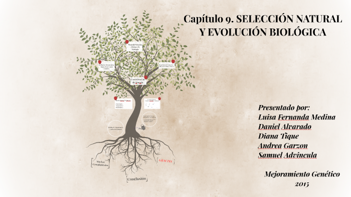 Capítulo 9. SELECCIÓN NATURAL Y EVOLUCIÓN BIOLÓGICA by Luisa Medina on ...
