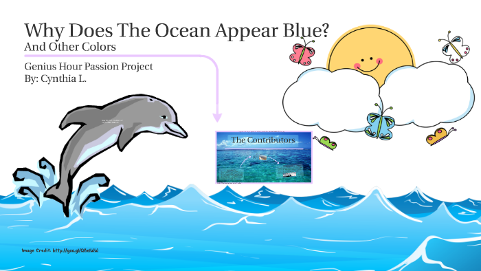 Why Does The Ocean Appear Blue? by Cynthia L.