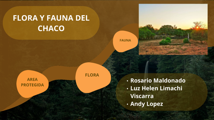 FLORA Y FAUNA DEL CHACO by Luz helen Limachi Viscarra on Prezi