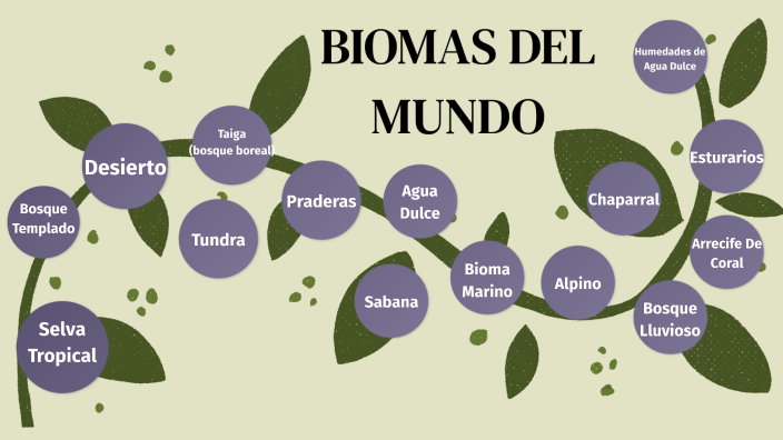 biomas del mundo by Martina herrera on Prezi