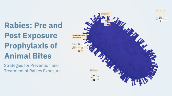 Rabies: Pre and Post Exposure Prophylaxis of Animal Bites by Karim ...