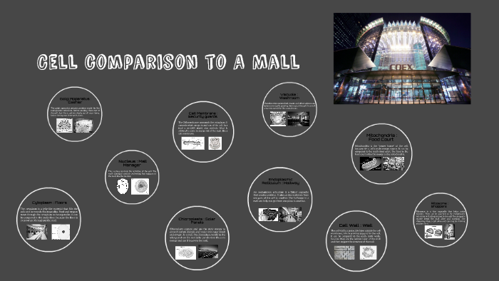 Cell Comparison to a Mall by Tayyaba Saleem on Prezi