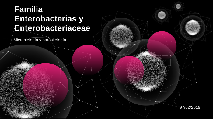 Familia Enterobacterias y Enterobacteriaceae by Ali Michelle Calderón ...
