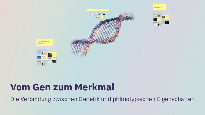 Vom Gen zum Merkmal by max arendt on Prezi