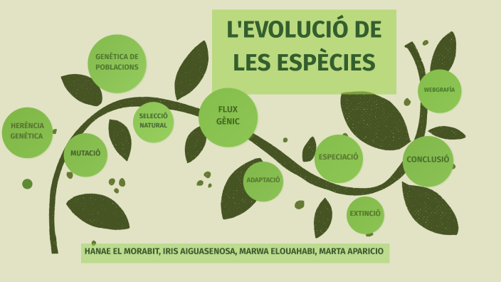 L'evolució de les espècies by Hanae El Morabit on Prezi