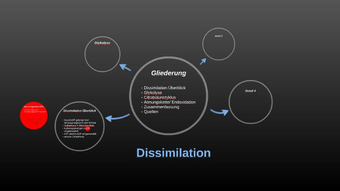 Dissimilation by Carla Rieß on Prezi