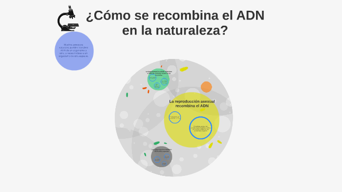 ¿Cómo se recombina el ADN en la naturaleza? by Mariana Baz on Prezi