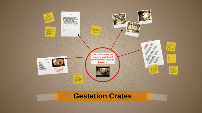 Gestation Crates by ERICA COTTRELL on Prezi