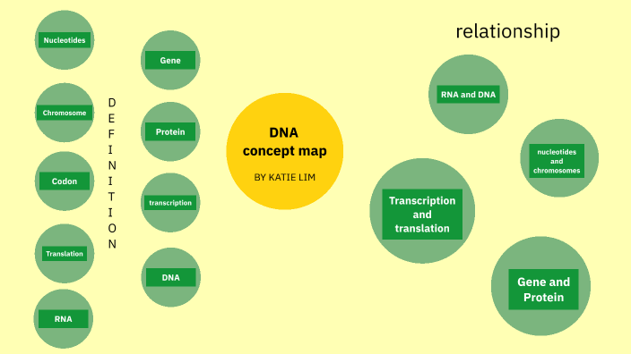 DNA concept map by Katie Lim on Prezi