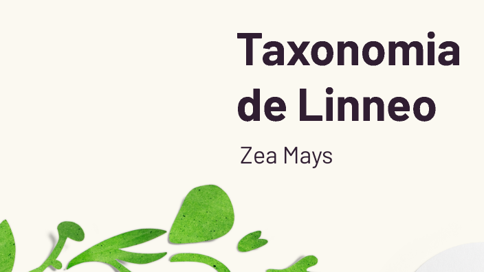 Taxonomia de Linneo by Juan Andres Barquet Escobar on Prezi