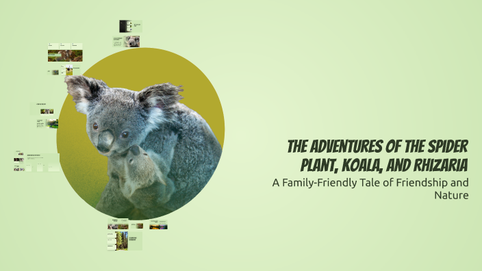 The Adventures of the Spider Plant, Koala, and Rhizaria by cede de3 on ...