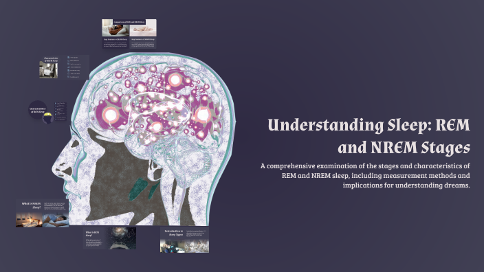 Understanding Sleep: REM and NREM Stages by Vava on Prezi