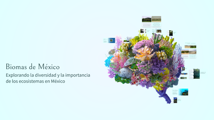 Biomas de México by Alfonso Emmanuel on Prezi