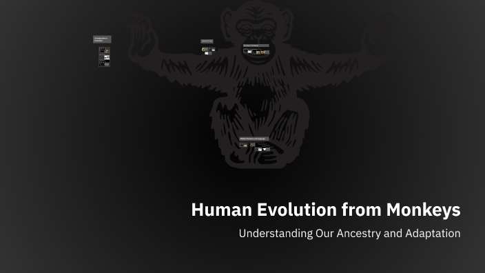 Human Evolution from Monkeys by Lior Bergman on Prezi