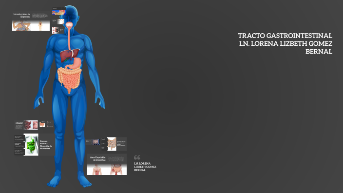 El Proceso de Digestión Humana by Marlene B on Prezi