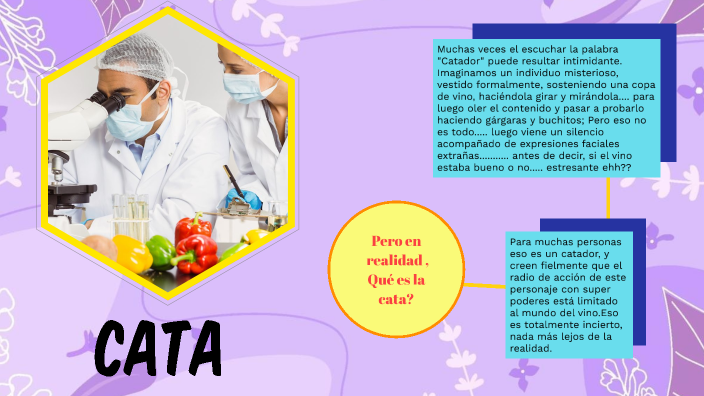 Cata de alimentos y bebidas by Aracely Diaz on Prezi