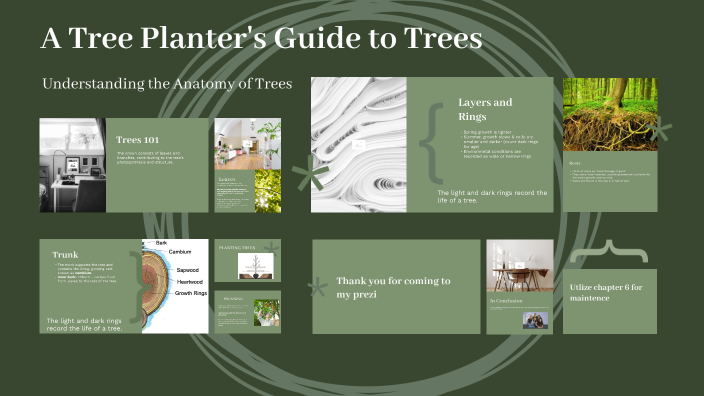 A Tree Planter's Guide to Trees by Brooke Denker on Prezi