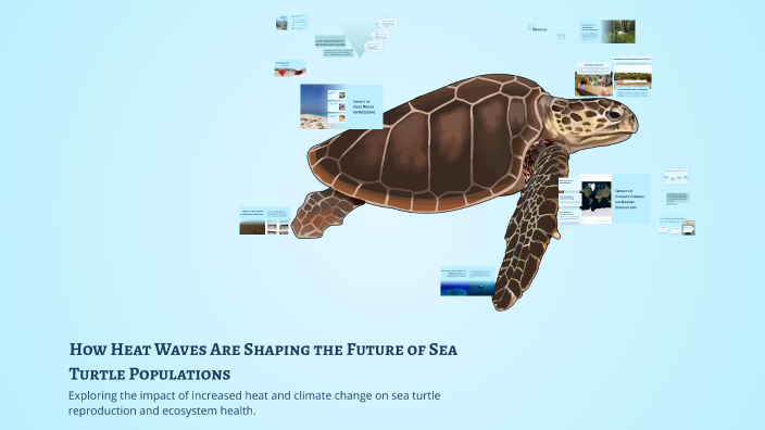 How Heat Waves Are Shaping the Future of Sea Turtle Populations by ...