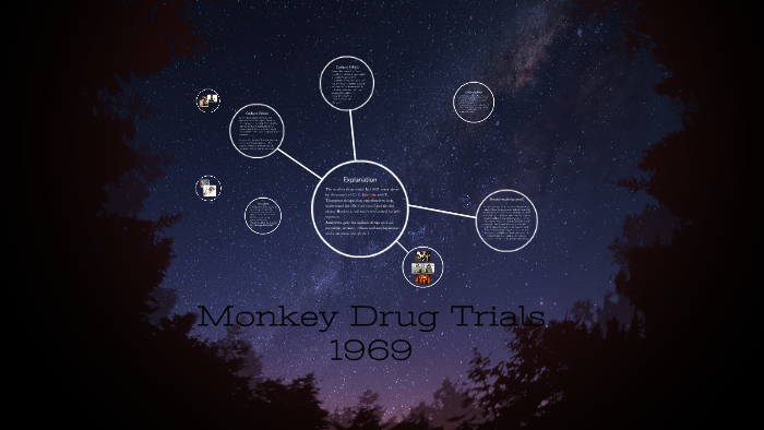 Monkey Drug Trials by Breanna Bond