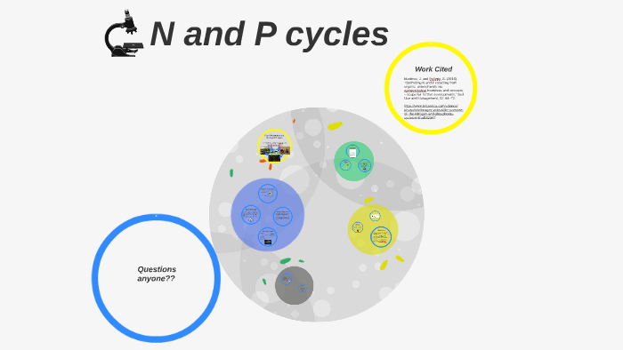 Food Production and the N and P Cycle by Abigail Vlasak