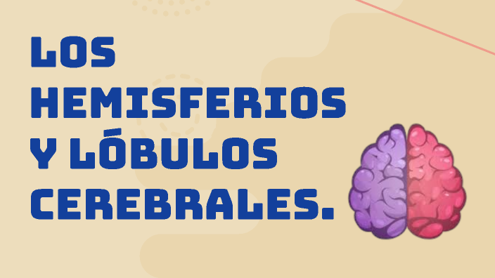 Presentación multimedia sobre los hemisferios y lóbulos cerebrales. by ...