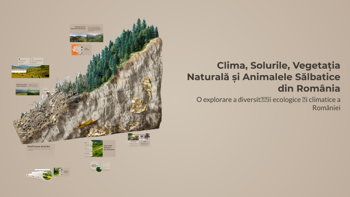 Clima, Solurile, Vegetația Naturală și Animalele Sălbatice din România ...