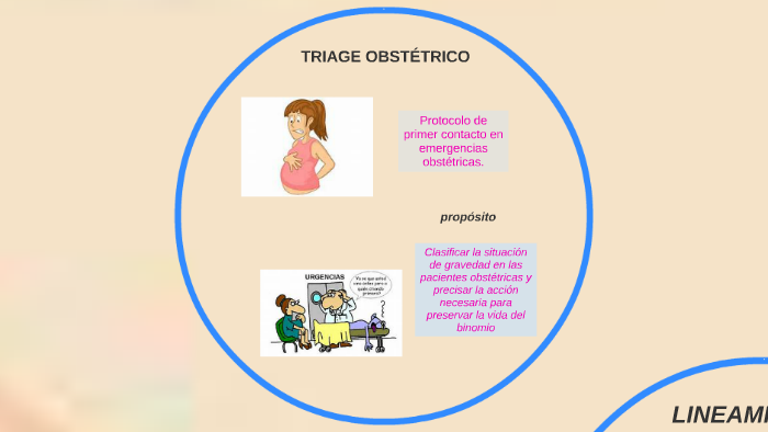 codigo mater by Leslie Martinez on Prezi