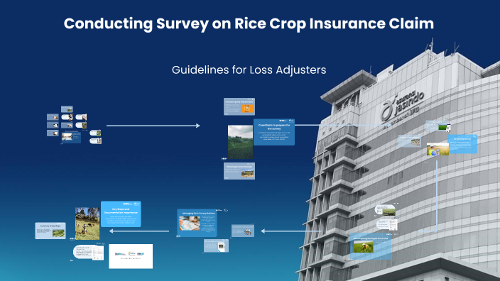 Conducting Survey on Rice Crop Insurance Claim by Edra Aulia on Prezi