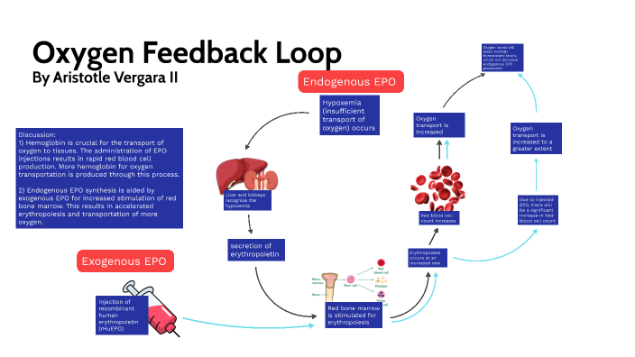 Oxygen Feedback Loop by A V on Prezi
