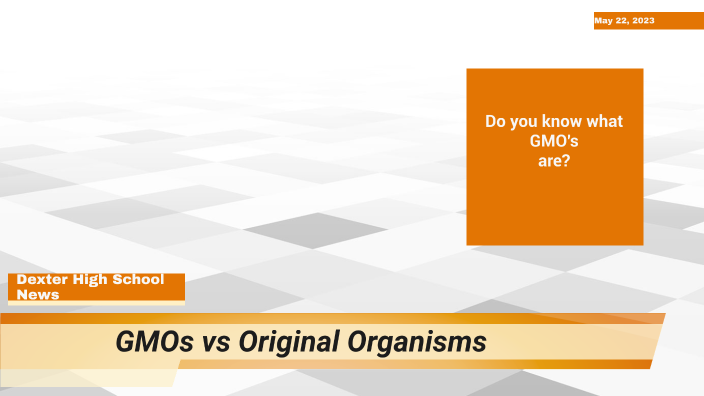 GMOS Vs Original Organisms by Oliver Hutchison on Prezi