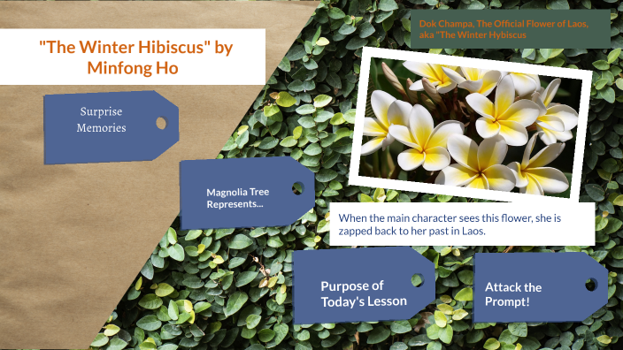 The Winter Hibiscus by melissa Campbell on Prezi