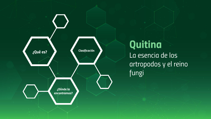 Quitina Parcial by Delfina Trucido on Prezi