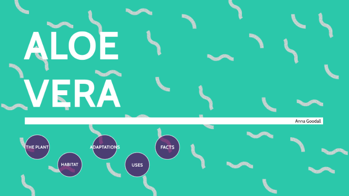 ALOE VERA SCIENCE PROJECT by Anna Goodall on Prezi