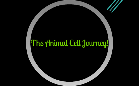 The Animal Cell Explorer by Todd Bedard on Prezi