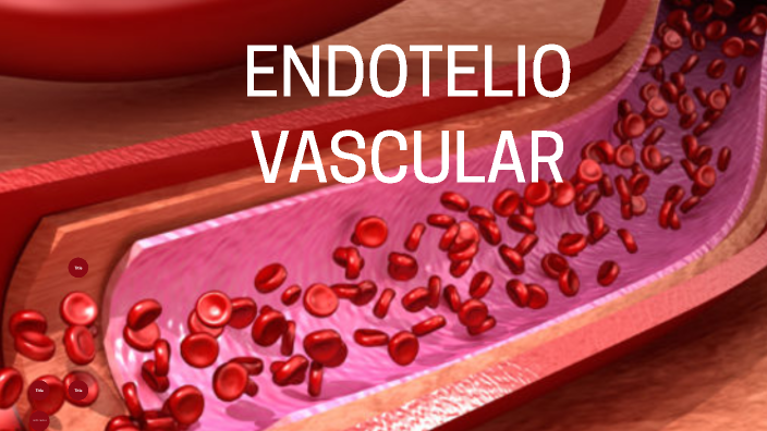 ENDOTELIO VASCULAR by Jorge Villarraga on Prezi