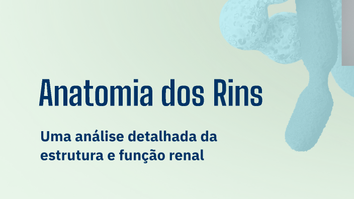 Anatomia dos Rins by Cris Santos on Prezi