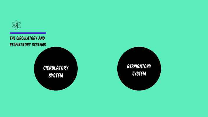 Respiratory And Circulatory System by Andrew Eberly on Prezi