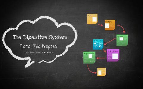 The Digestive System by Patrick TomHon on Prezi