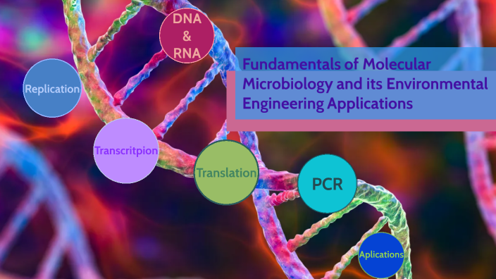 Fundamentals of Molecular Microbiology and its Environmental ...