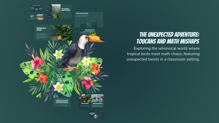 The Unexpected Adventure: Toucans and Math Mishaps by Marshall Cramer ...