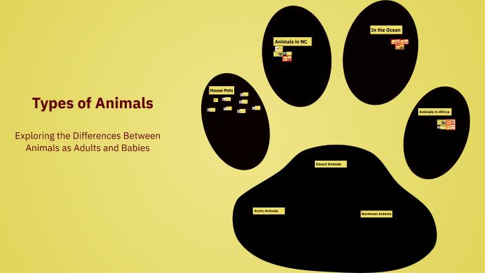 Types of House Animals by Matthew Biddy on Prezi