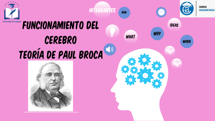 TEORIAS DEL FUNCIONAMIENTO DEL CEREBRO - Paul Broca by Dayana Suárez on ...