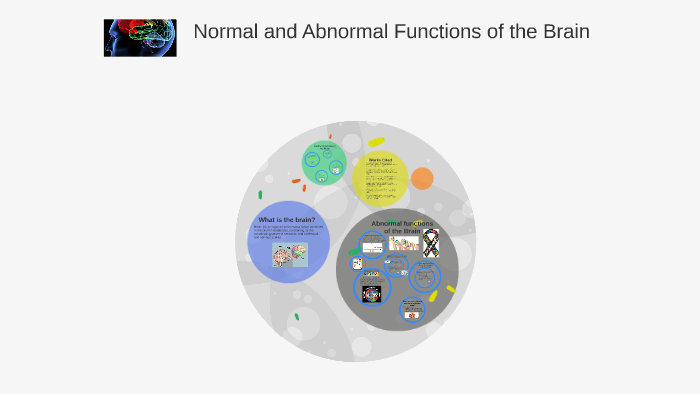 Normal and Abnormal Functions of the Brain by Jason Chiang on Prezi