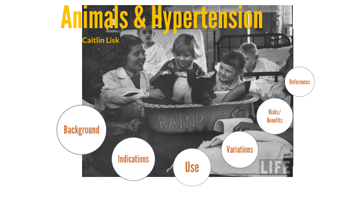 Animals & Hypertension by Caitlin Lisk on Prezi