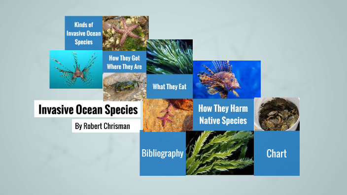 Invasive Ocean Species by Robert Chrisman on Prezi