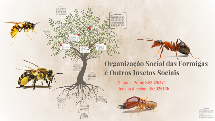 Organização Social das Formigas e Outros Insetos Sociais by Gabriela ...