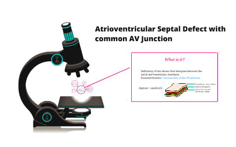 Atrioventricular Septal Defect with common AV Junction by on Prezi