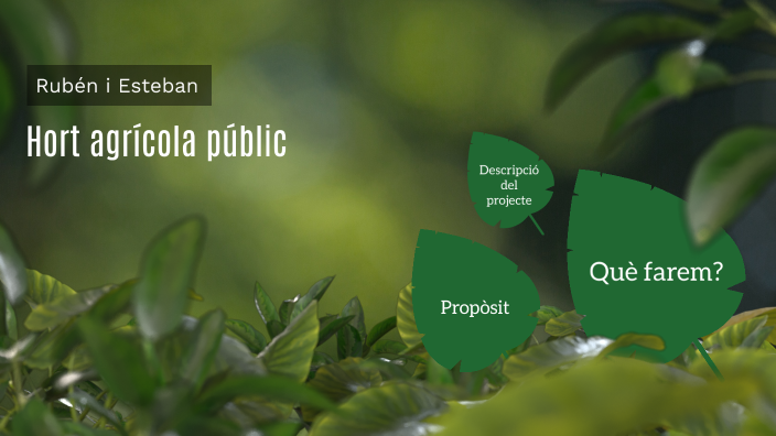 Projecte Entorn by RUBEN QUEROL DE COLSA on Prezi