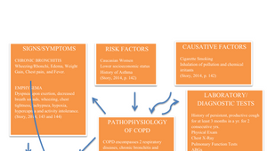 COPD_Concept+Map Example.pdf by Trish Moyer on Prezi Design